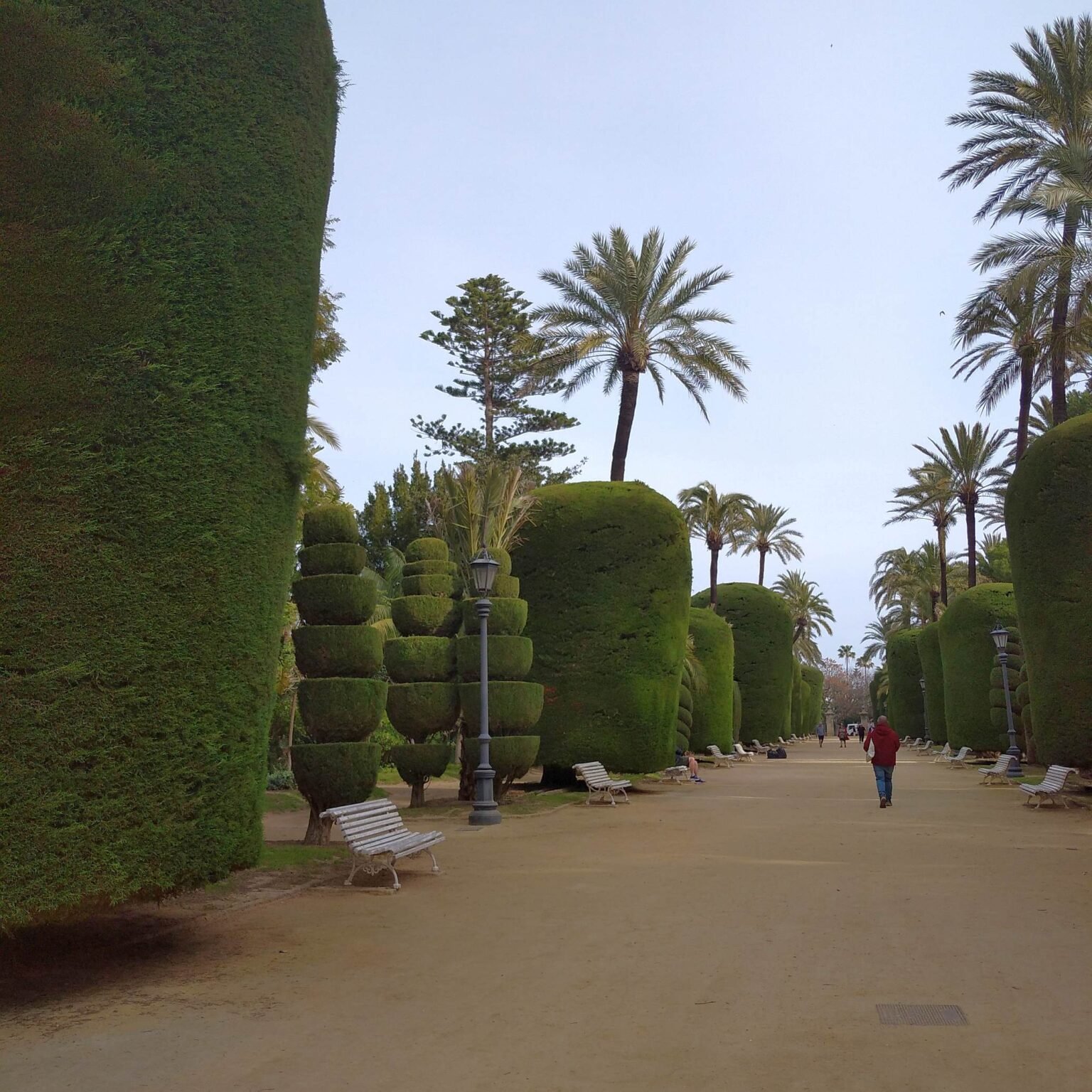 The Genovés Park in Cádiz - Visiting Cádiz