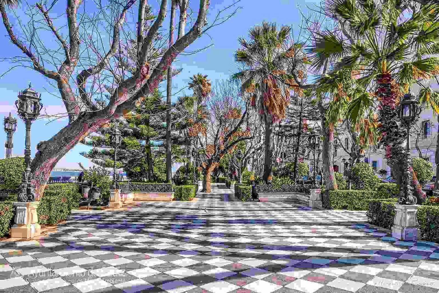 Jardines del Paseo de Carlos III in Cádiz - Visiting Cádiz